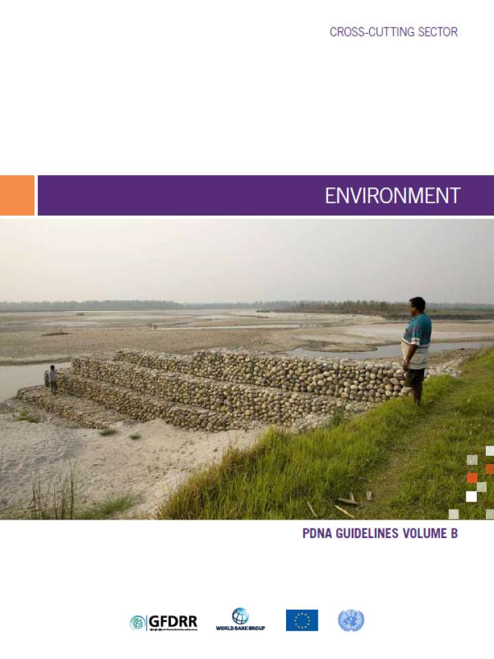 post-disaster-needs-assessments-guidelines-volume-b-environment-irp